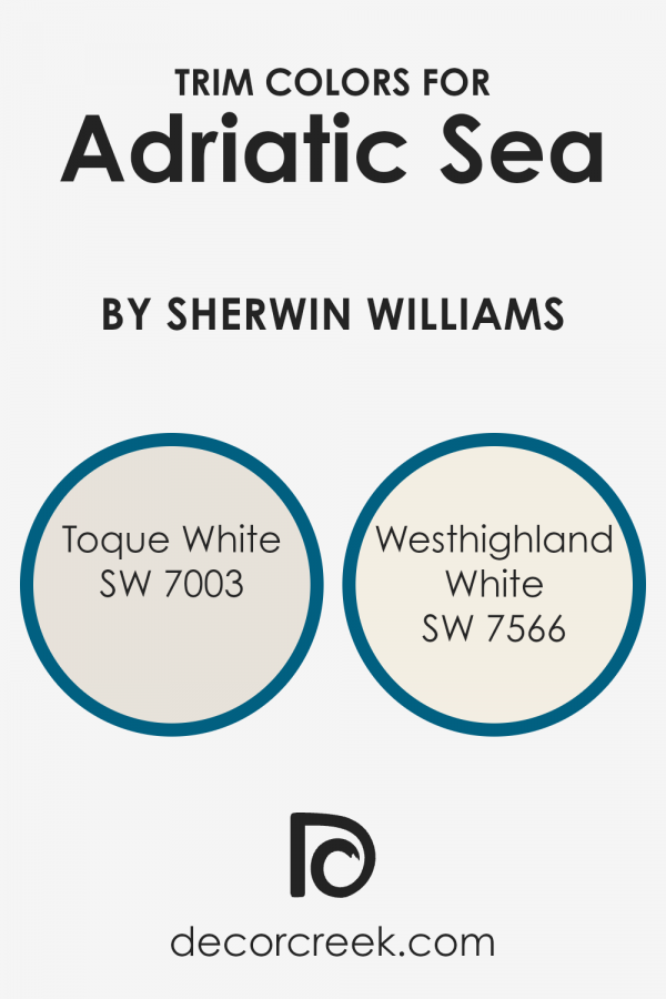 Adriatic Sea SW 6790 Paint Color by Sherwin Williams - DecorCreek