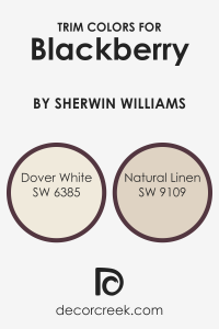 Blackberry SW 7577 Paint Color by Sherwin Williams - DecorCreek