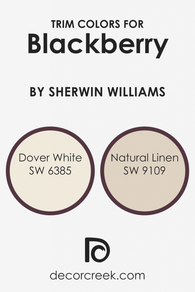 Blackberry SW 7577 Paint Color by Sherwin Williams - DecorCreek