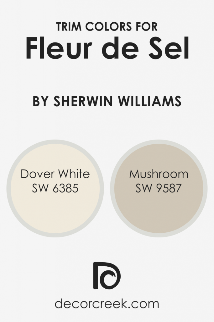 Fleur de Sel SW 7666 Paint Color by Sherwin Williams - DecorCreek