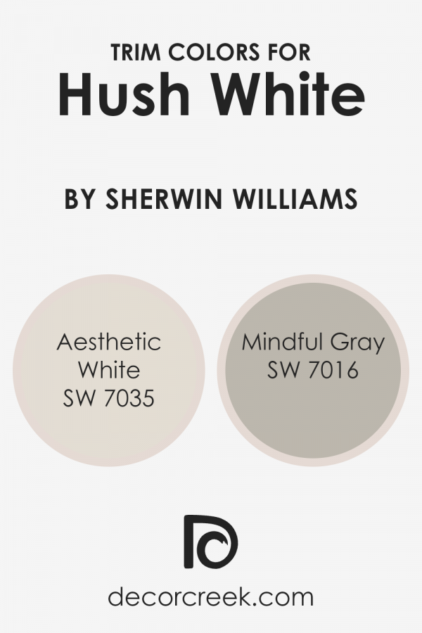 Hush White SW 6042 Paint Color by Sherwin Williams - DecorCreek