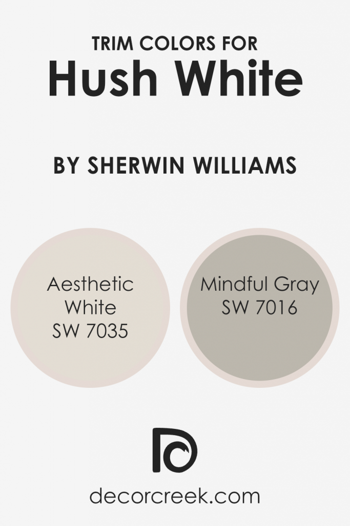 Hush White SW 6042 Paint Color by Sherwin Williams - DecorCreek