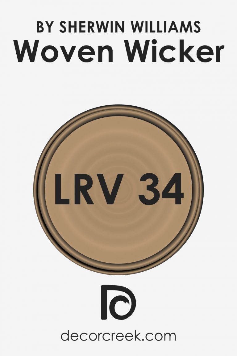 Woven Wicker SW 9104 Paint Color by Sherwin Williams - DecorCreek