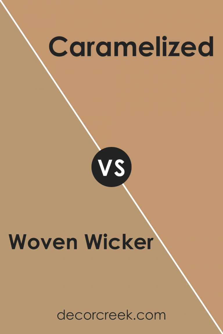 Woven Wicker SW 9104 Paint Color by Sherwin Williams - DecorCreek