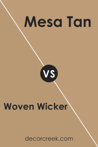 Woven Wicker SW 9104 Paint Color by Sherwin Williams - DecorCreek