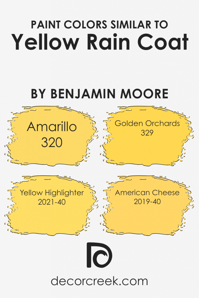 Yellow Rain Coat 2020-40 Paint Color by Benjamin Moore - DecorCreek