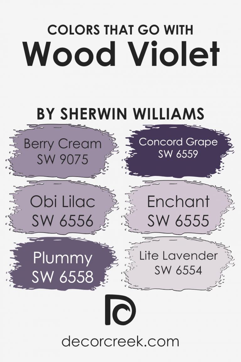 Wood Violet SW 6557 Paint Color by Sherwin Williams - DecorCreek