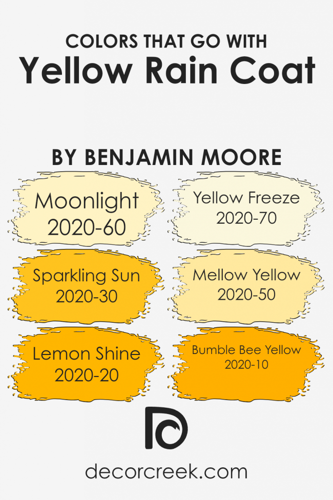 Yellow Rain Coat 2020-40 Paint Color by Benjamin Moore - DecorCreek