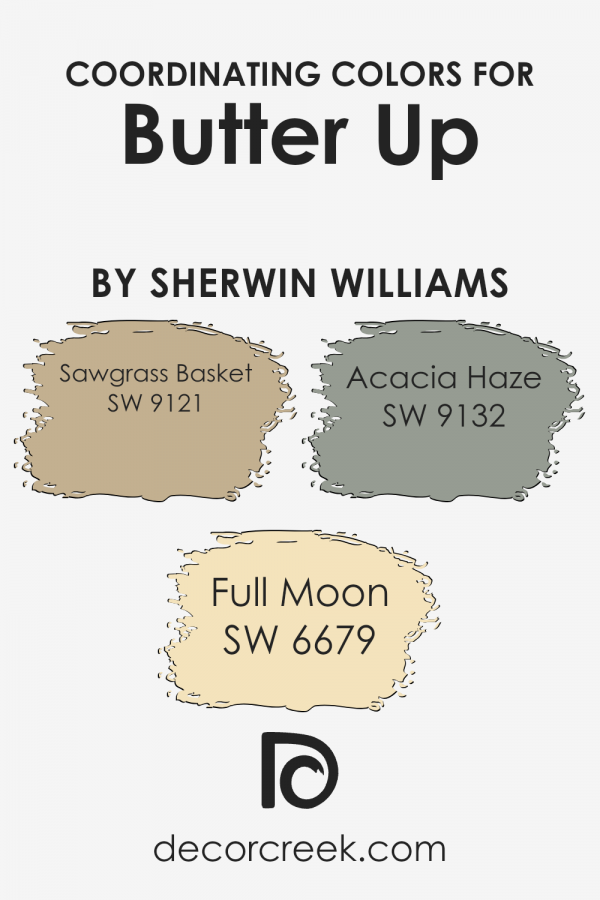 Butter Up SW 6681 Paint Color by Sherwin Williams - DecorCreek