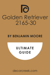 Golden Retriever 2165-30 Paint Color by Benjamin Moore - DecorCreek