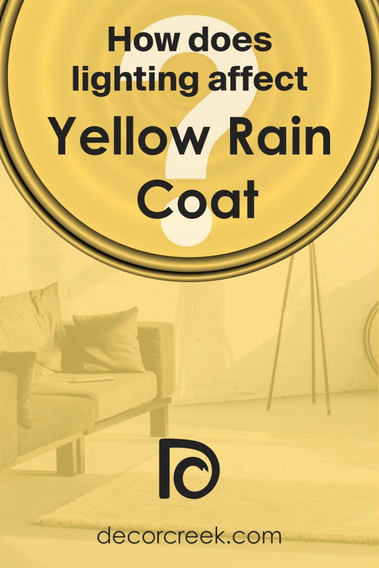 Yellow Rain Coat 2020-40 Paint Color by Benjamin Moore - DecorCreek