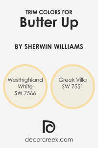 Butter Up SW 6681 Paint Color by Sherwin Williams - DecorCreek