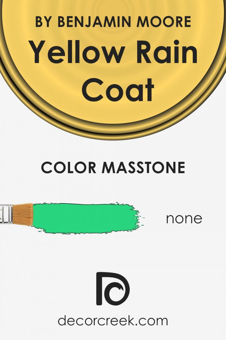 Yellow Rain Coat 2020-40 Paint Color by Benjamin Moore - DecorCreek