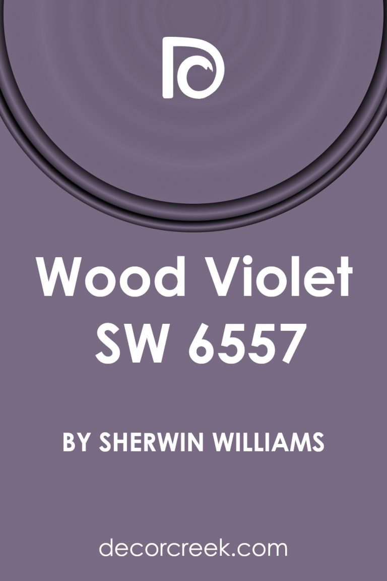 Wood Violet SW 6557 Paint Color by Sherwin Williams - DecorCreek