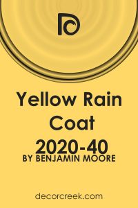 Yellow Rain Coat 2020-40 Paint Color by Benjamin Moore - DecorCreek