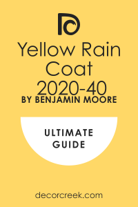 Yellow Rain Coat 2020-40 Paint Color by Benjamin Moore - DecorCreek