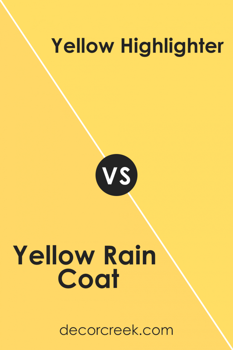Yellow Rain Coat 2020-40 Paint Color by Benjamin Moore - DecorCreek