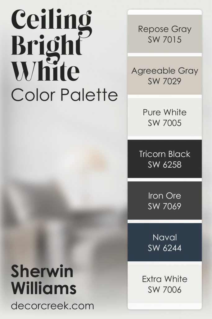 Ceiling Bright White SW 7007 Paint Color by Sherwin Williams - DecorCreek