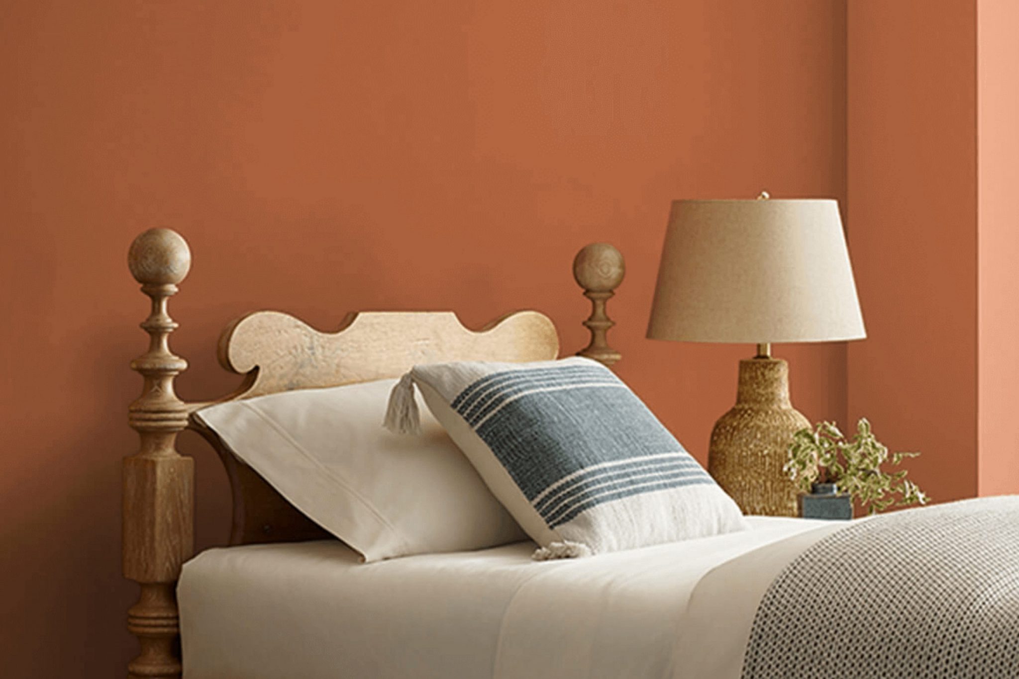 Copper Mountain SW 6356 Paint Color by Sherwin Williams - DecorCreek