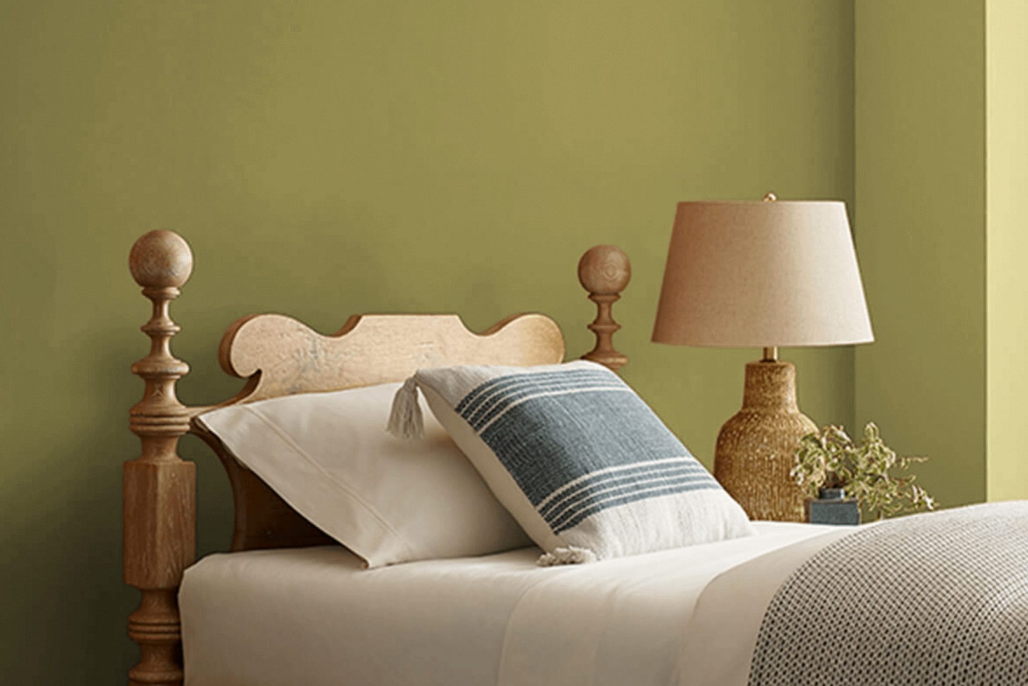 Rural Green SW 6418 Paint Color by Sherwin Williams - DecorCreek