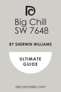 Big Chill SW 7648 Paint Color by Sherwin Williams - DecorCreek