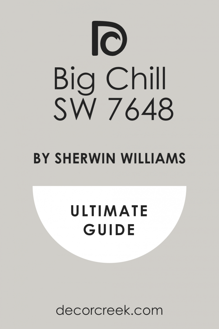 Big Chill SW 7648 Paint Color by Sherwin Williams - DecorCreek