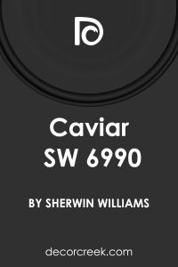 Caviar SW 6990 Paint Color by Sherwin Williams - DecorCreek