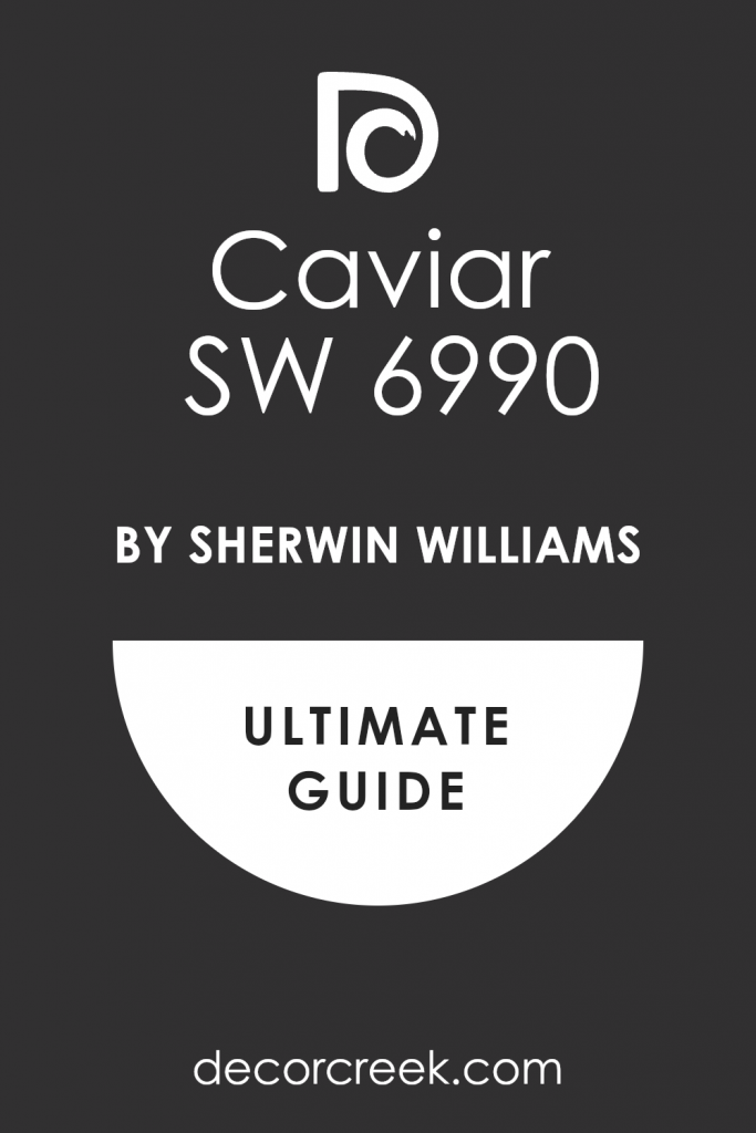 Caviar SW 6990 Paint Color by Sherwin Williams - DecorCreek