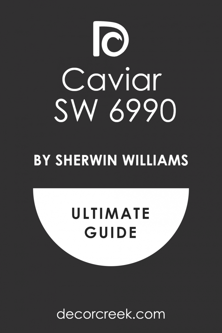 Caviar SW 6990 Paint Color by Sherwin Williams - DecorCreek