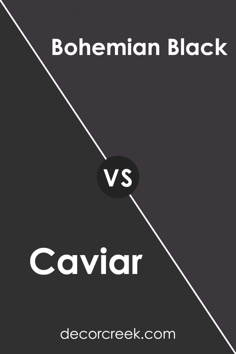 Caviar SW 6990 Paint Color by Sherwin Williams - DecorCreek