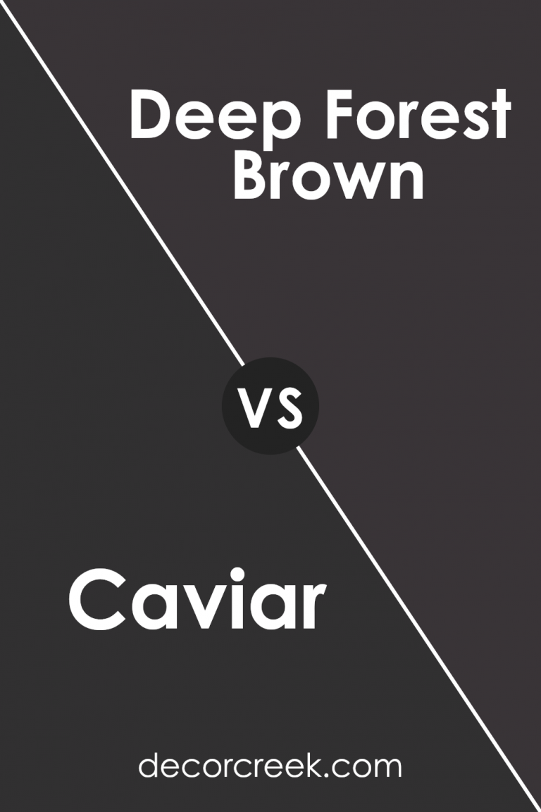 Caviar SW 6990 Paint Color by Sherwin Williams - DecorCreek
