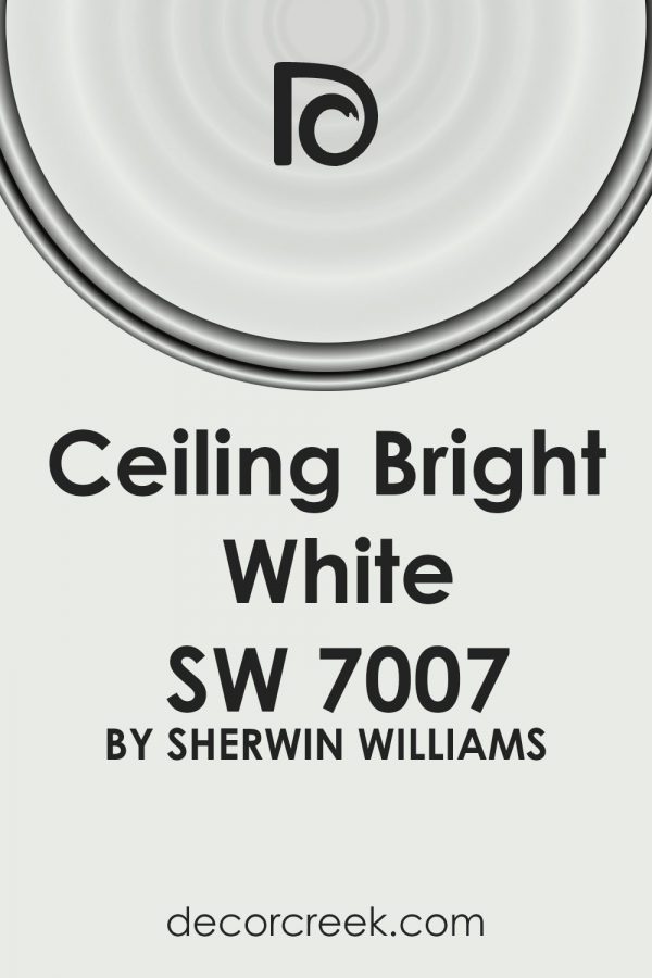 Ceiling Bright White SW 7007 Paint Color by Sherwin Williams - DecorCreek
