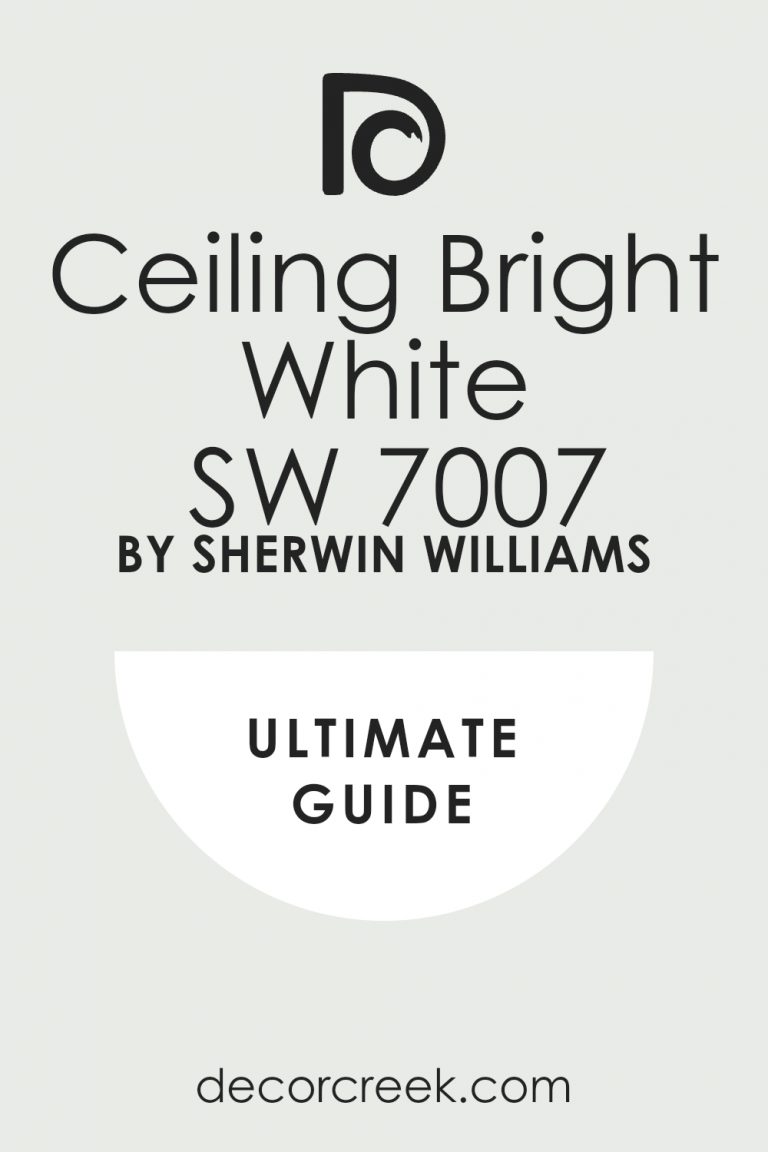 Ceiling Bright White SW 7007 Paint Color by Sherwin Williams - DecorCreek