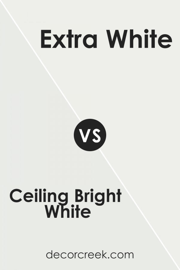 Ceiling Bright White SW 7007 Paint Color by Sherwin Williams - DecorCreek