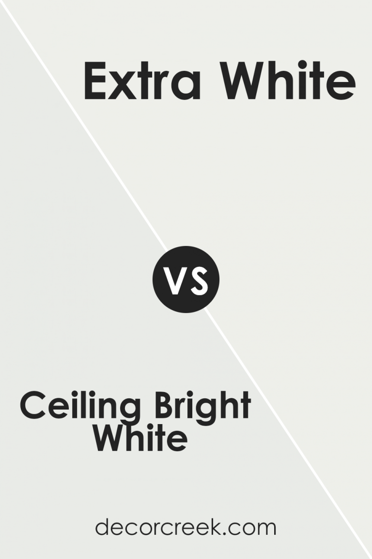 Ceiling Bright White SW 7007 Paint Color by Sherwin Williams - DecorCreek