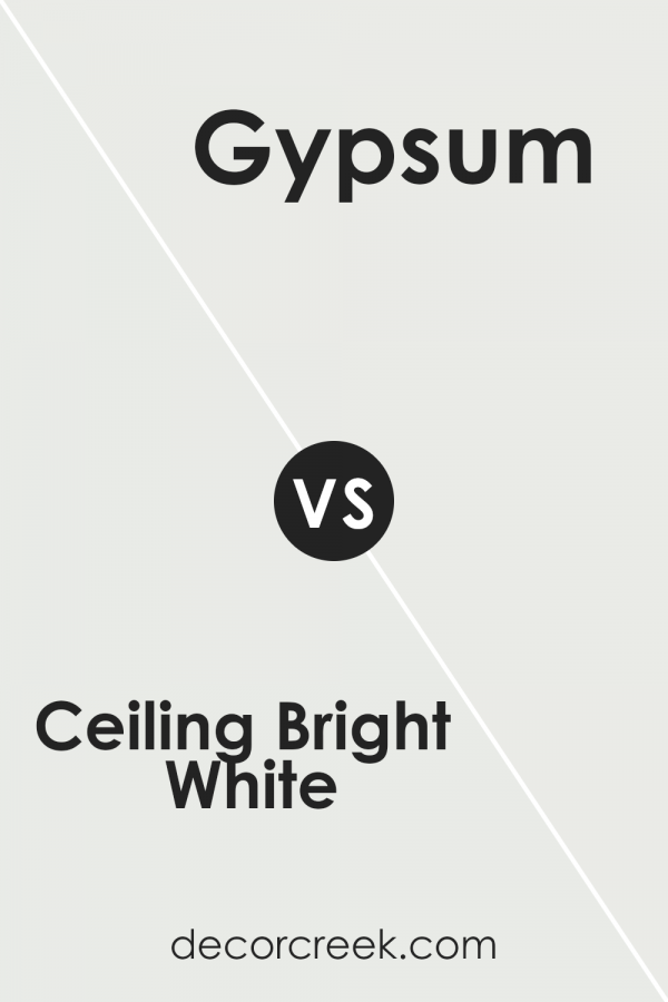 Ceiling Bright White SW 7007 Paint Color by Sherwin Williams - DecorCreek