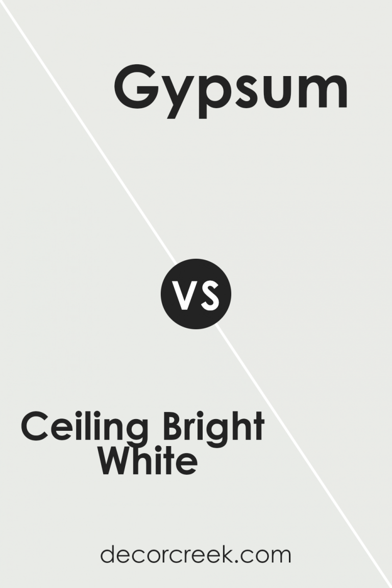 Ceiling Bright White SW 7007 Paint Color by Sherwin Williams - DecorCreek