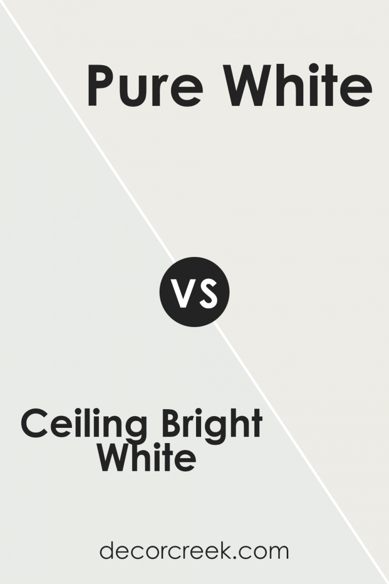 Ceiling Bright White SW 7007 Paint Color by Sherwin Williams - DecorCreek