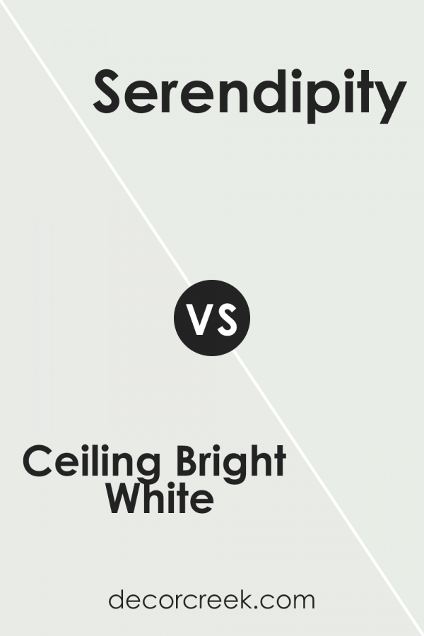Ceiling Bright White SW 7007 Paint Color by Sherwin Williams - DecorCreek