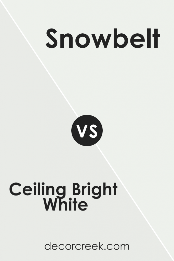 Ceiling Bright White SW 7007 Paint Color by Sherwin Williams - DecorCreek