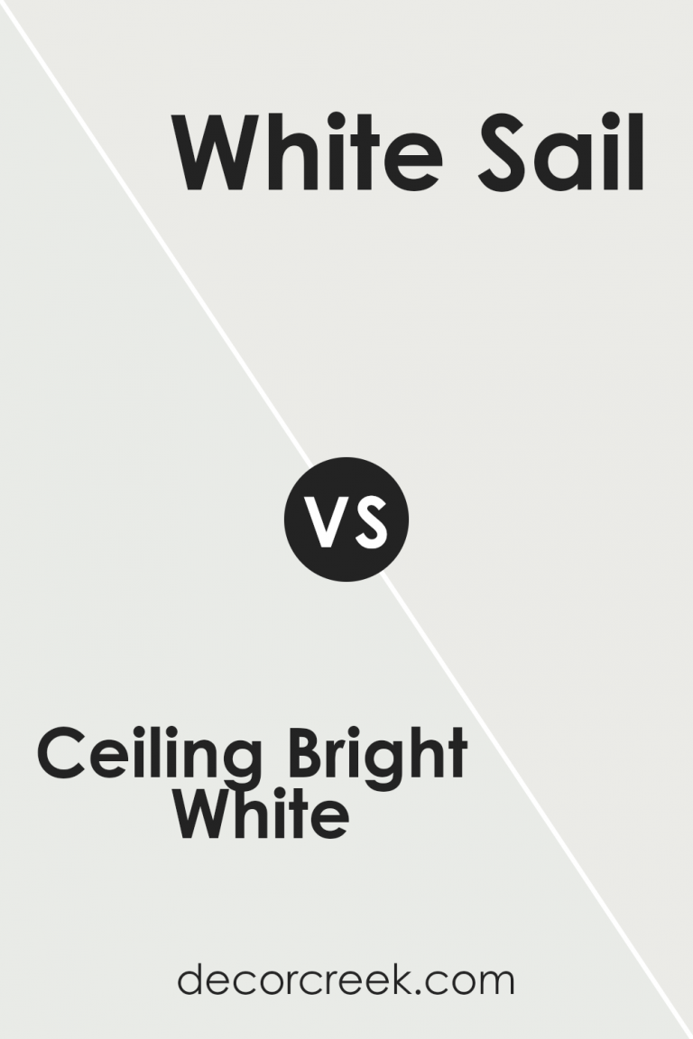 Ceiling Bright White SW 7007 Paint Color by Sherwin Williams - DecorCreek