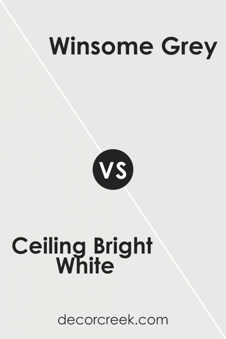 Ceiling Bright White SW 7007 Paint Color by Sherwin Williams - DecorCreek