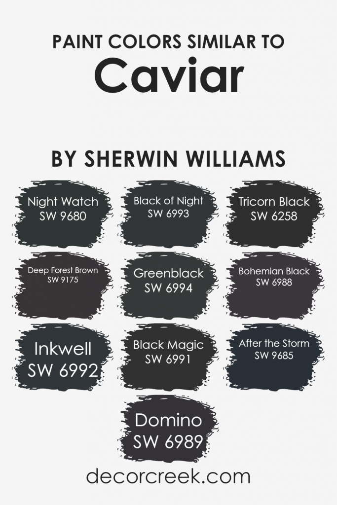 Caviar SW 6990 Paint Color by Sherwin Williams - DecorCreek