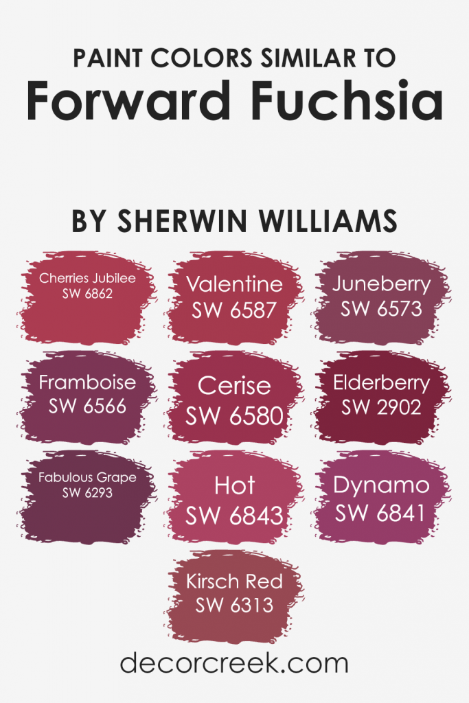 Forward Fuchsia SW 6842 Paint Color by Sherwin Williams - DecorCreek