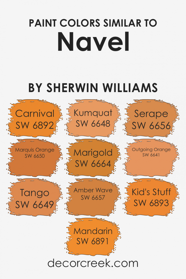 Navel SW 6887 Paint Color by Sherwin Williams - DecorCreek