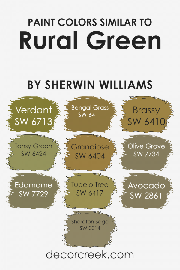 Rural Green SW 6418 Paint Color by Sherwin Williams - DecorCreek