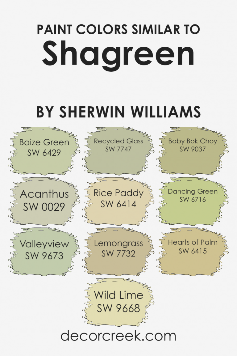 Shagreen SW 6422 Paint Color by Sherwin Williams - DecorCreek