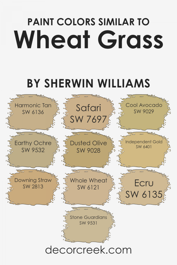 Wheat Grass SW 6408 Paint Color by Sherwin Williams - DecorCreek