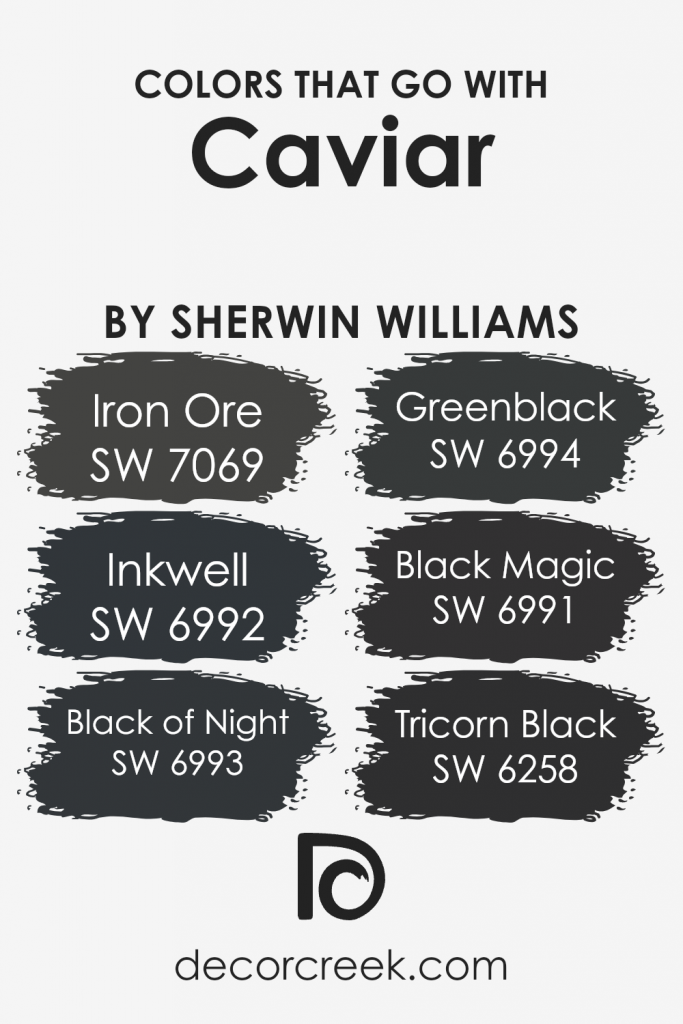Caviar SW 6990 Paint Color by Sherwin Williams - DecorCreek