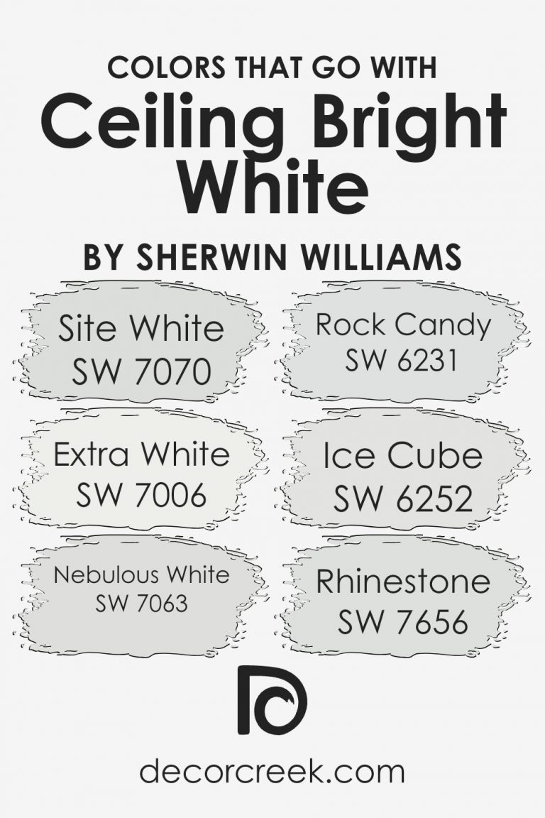 Ceiling Bright White SW 7007 Paint Color by Sherwin Williams - DecorCreek